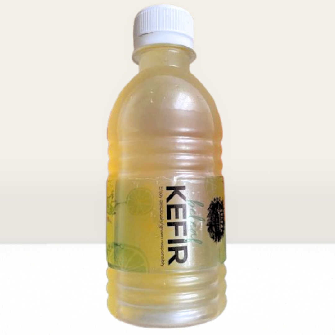 Kefir - Citron| Beleaf Maroc – Beleafmaroc